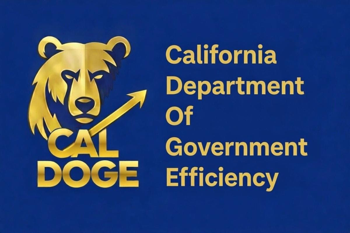 CAL DOGE Targets Corruption, Fraud and Waste & Will Drive Structural ...